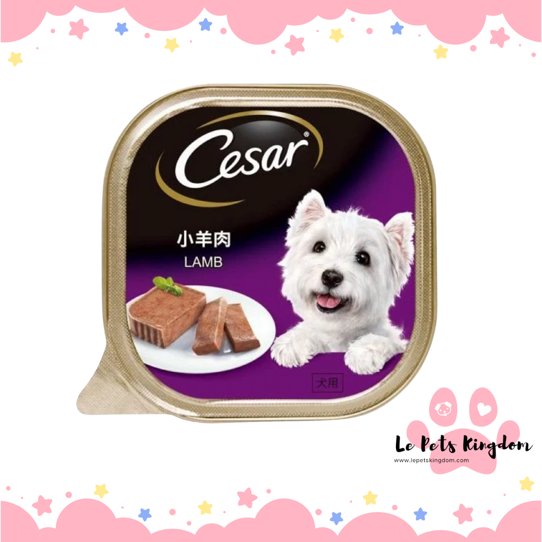 Cesar Lamb Pate Dog Food 100g – Le Pets Kingdom