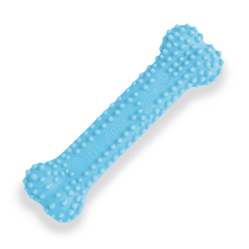Nylabone Puppy Teething & Soothing Flexible Chew Toy Petite – Le Pets ...